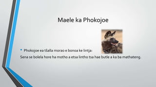 Maele a Sesotho | PPTX