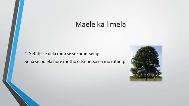 Maele a Sesotho | PPTX