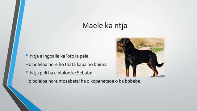 Maele a Sesotho | PPTX