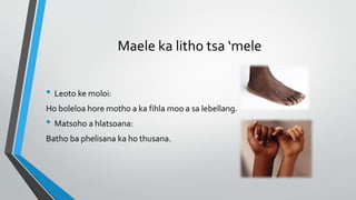Maele a Sesotho | PPTX