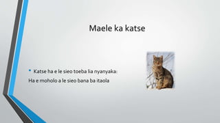 Maele a Sesotho | PPTX
