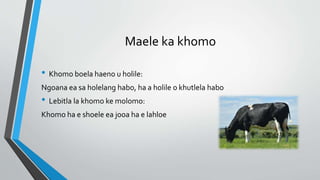 Maele a Sesotho | PPTX