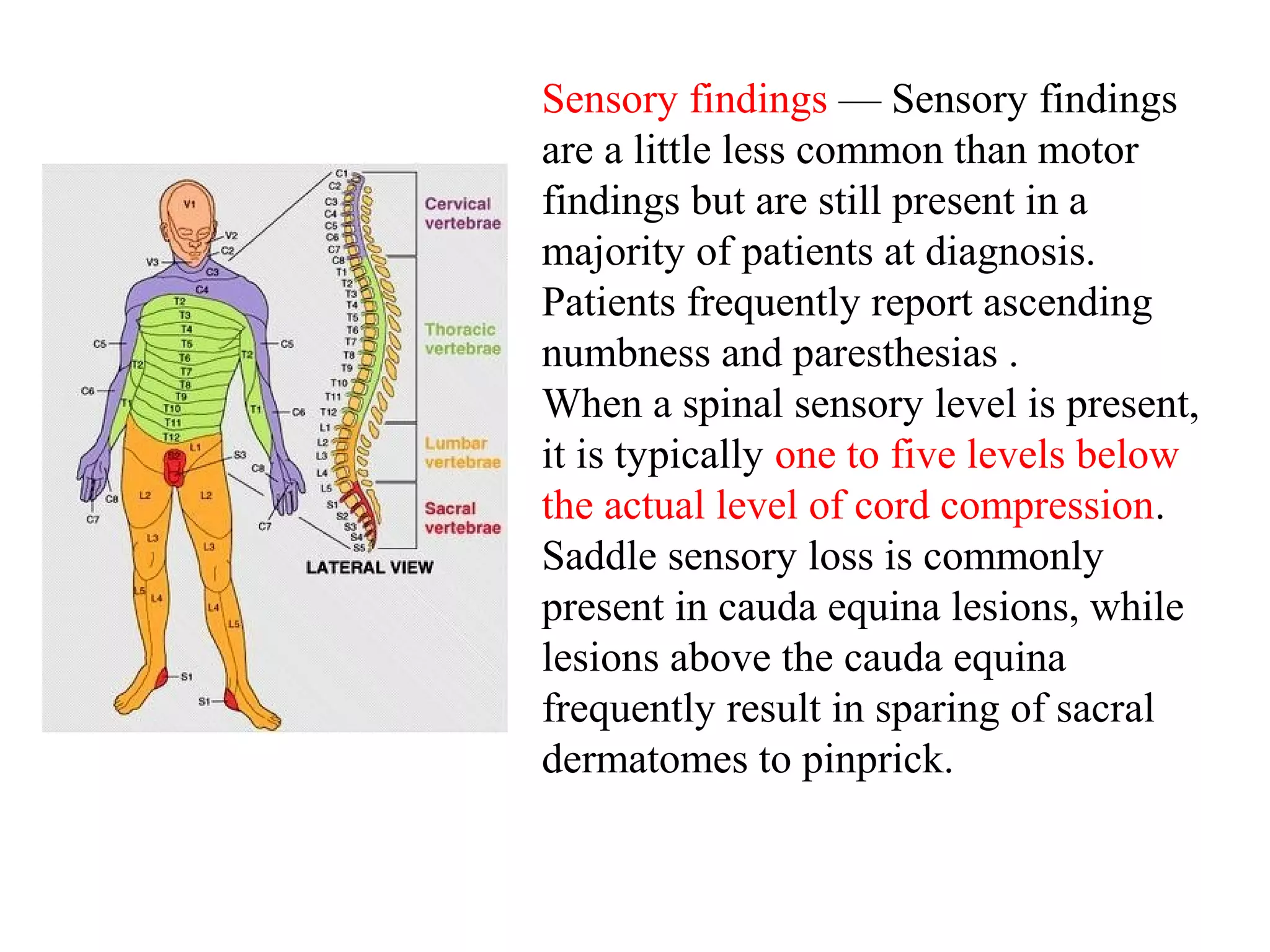 Maliganant spinal cord compression main | PPT
