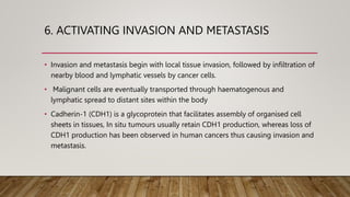 Malignancies.pptx