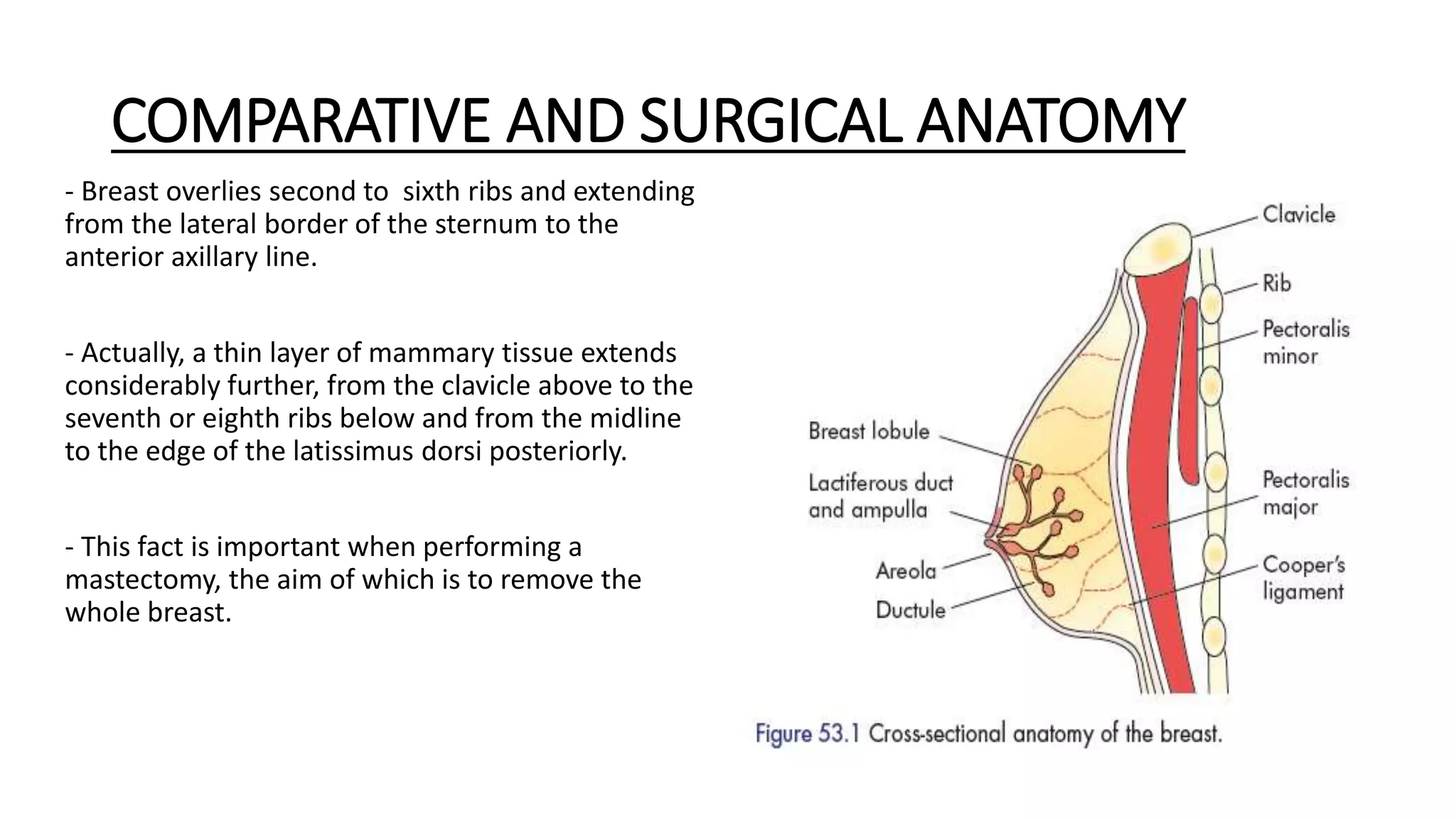 Malignant breast diseases | PPTX