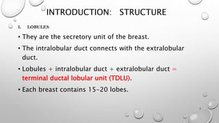 MALIGNANT BREAST LESIONS.pptx