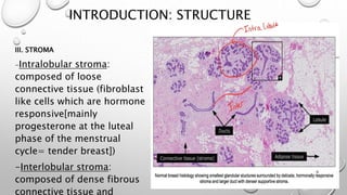 MALIGNANT BREAST LESIONS.pptx