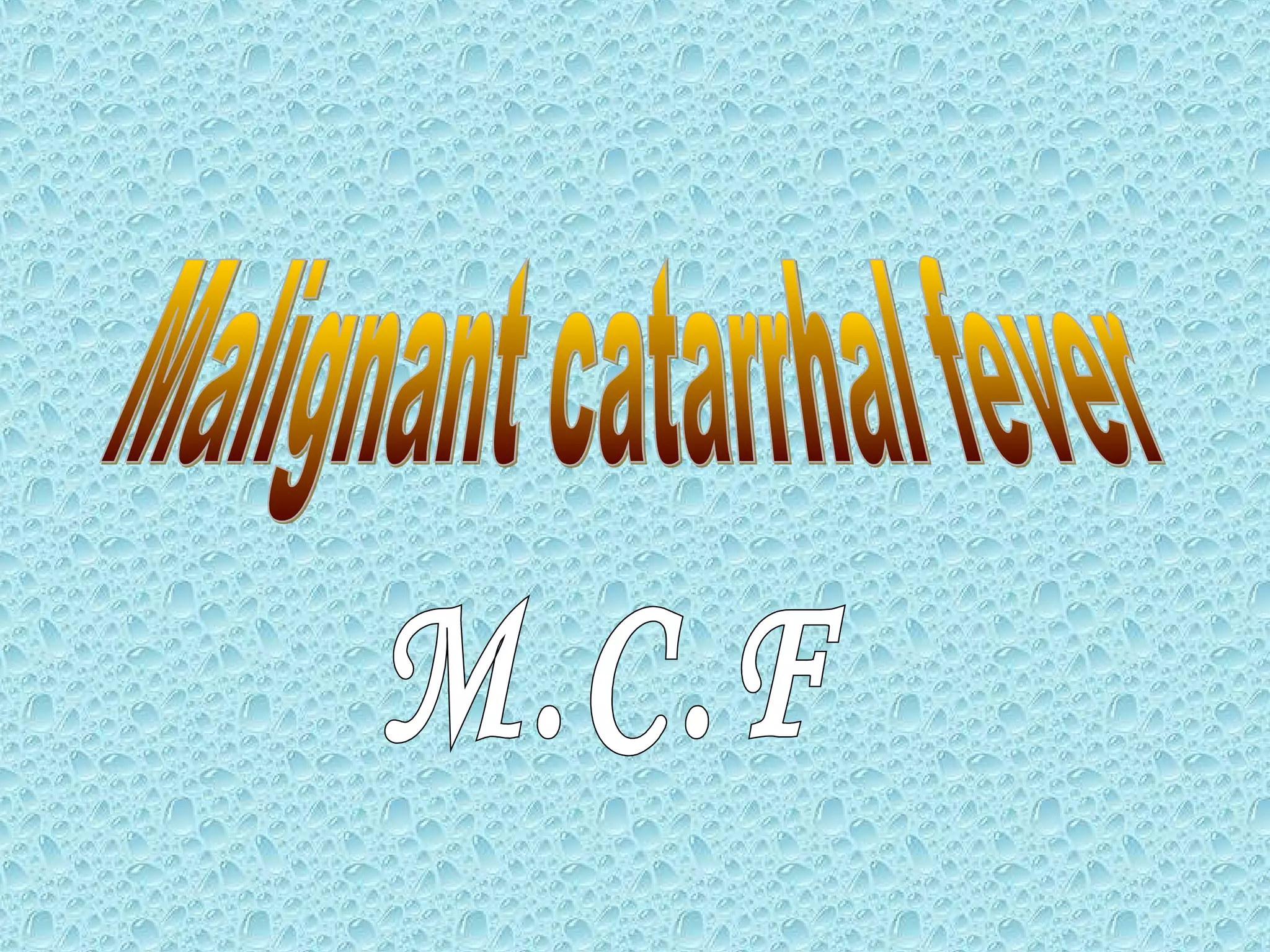 Malignant catarrhal fever | PPS