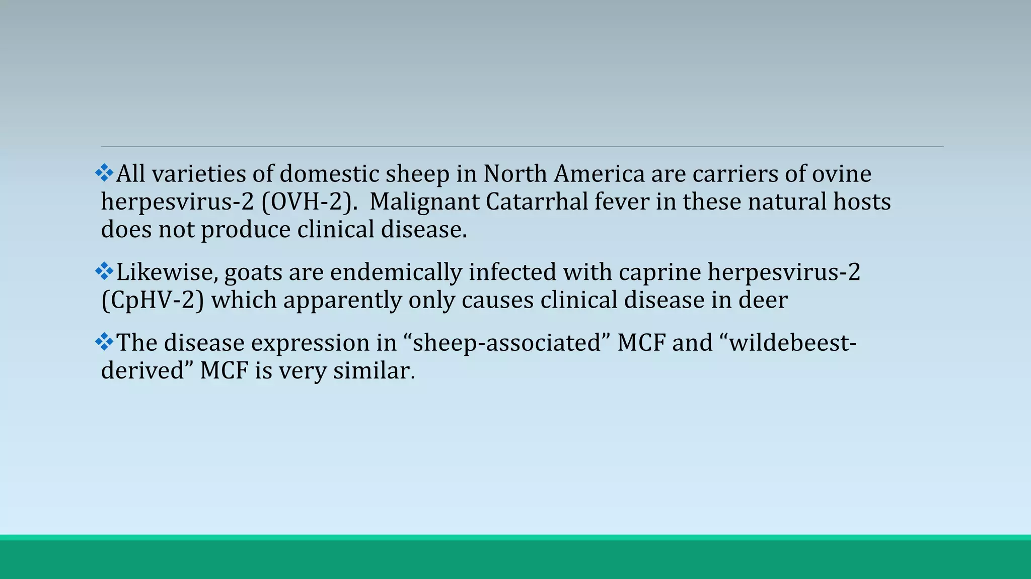 Malignant catarrhal fever | PPTX