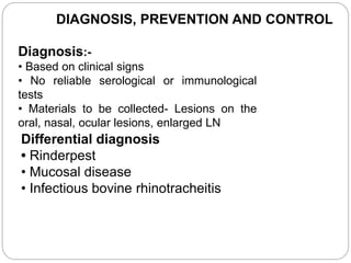 Malignant catarrhal fever | PPTX