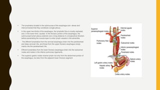 Anatomy and malignant diseases of esophagus | PPTX