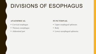 Anatomy and malignant diseases of esophagus | PPTX