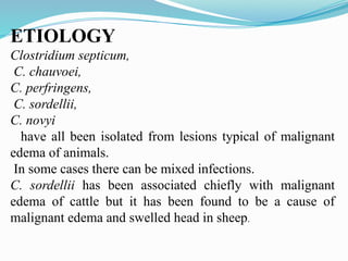 MALIGNANT EDEMA,.pptx presentation diseases in animals | PPTX