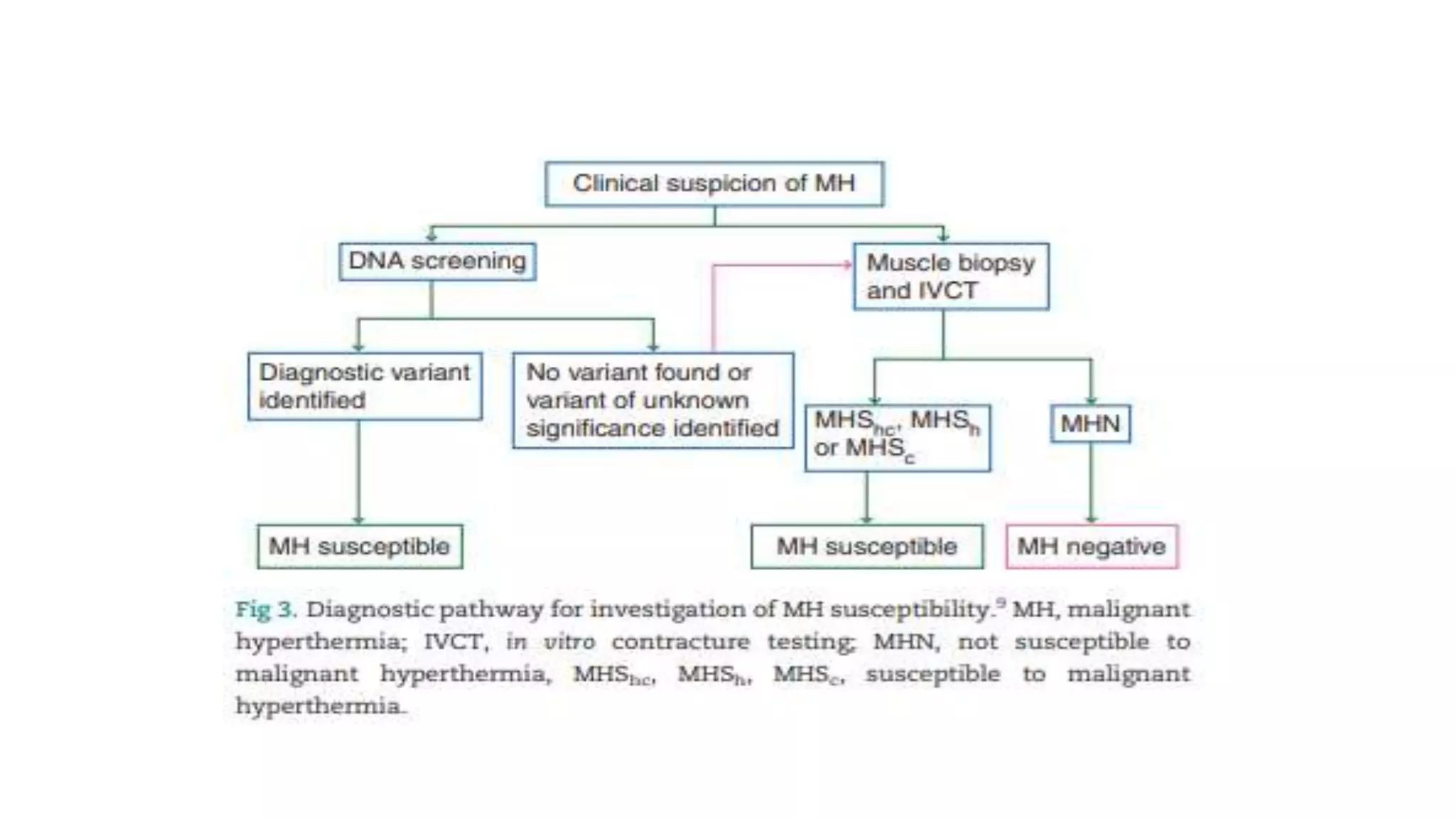 MALIGNANT HYPERTHERMIA.pptx