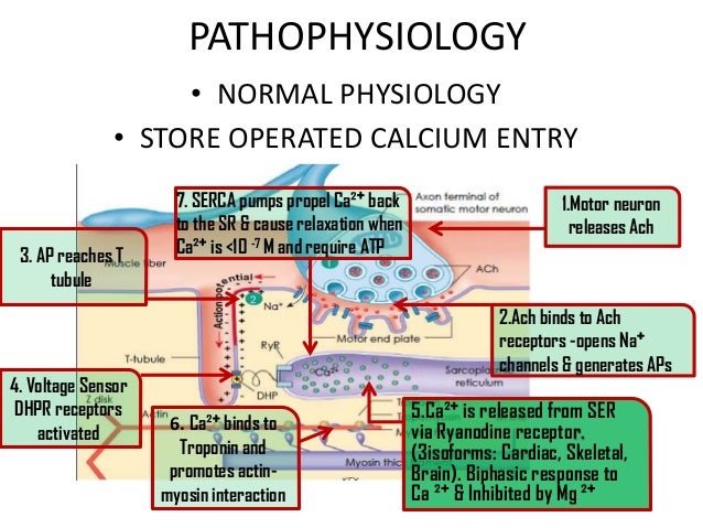 Malignant hyperthermia [final]