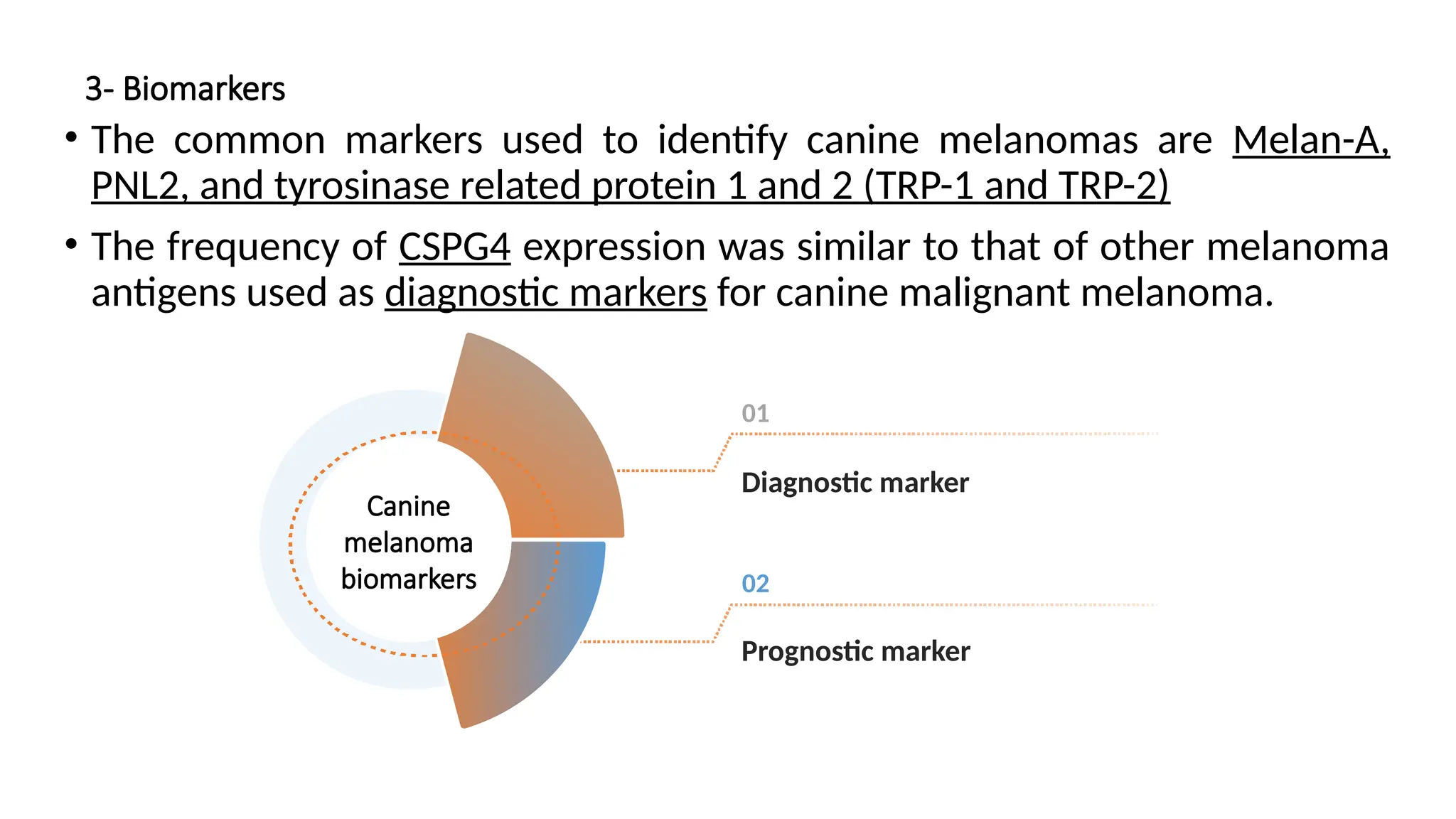 Malignant melanoma in dogs: diagnosis and treatment | PPTX
