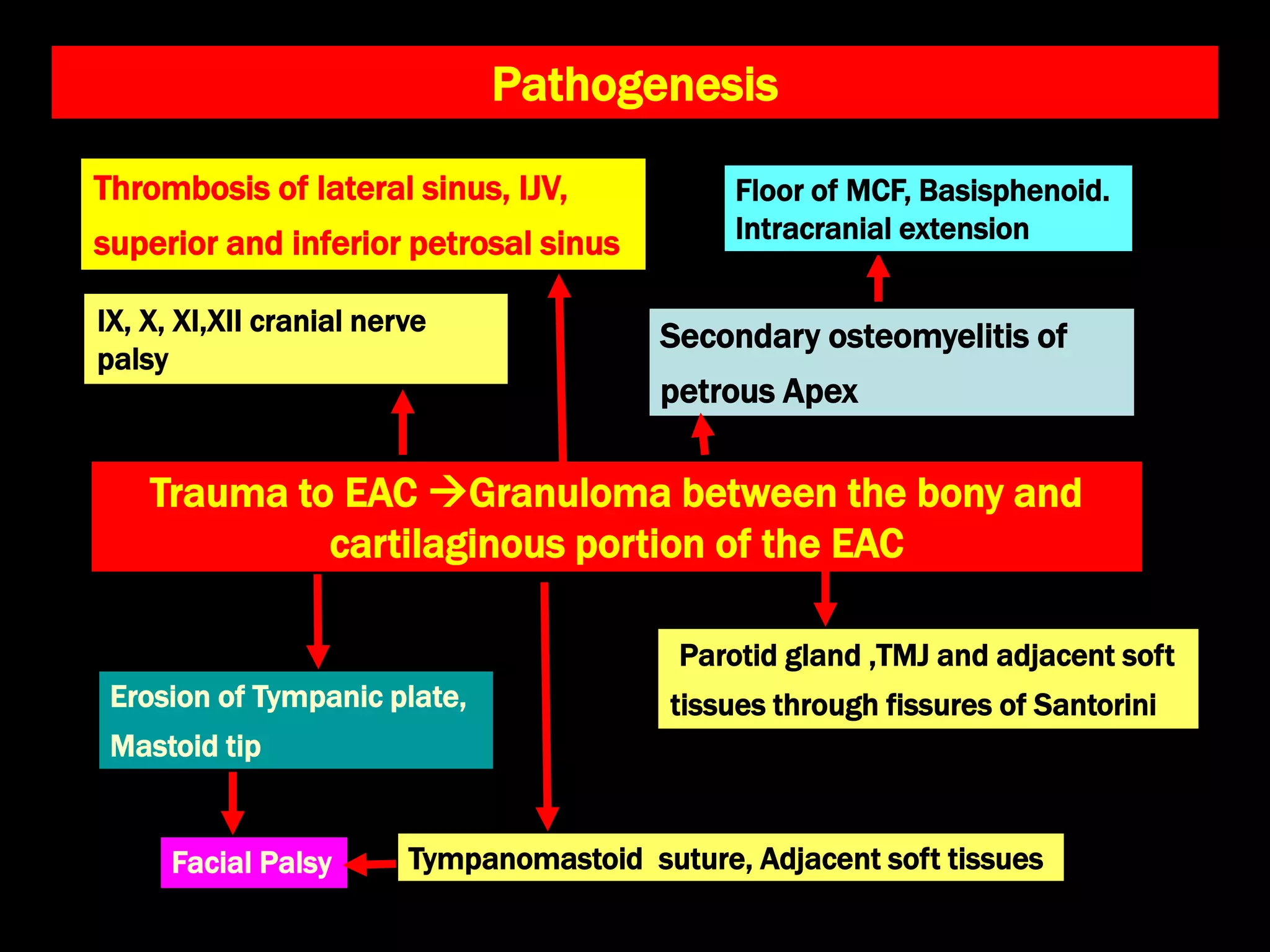Malignant otitis externa | PPT