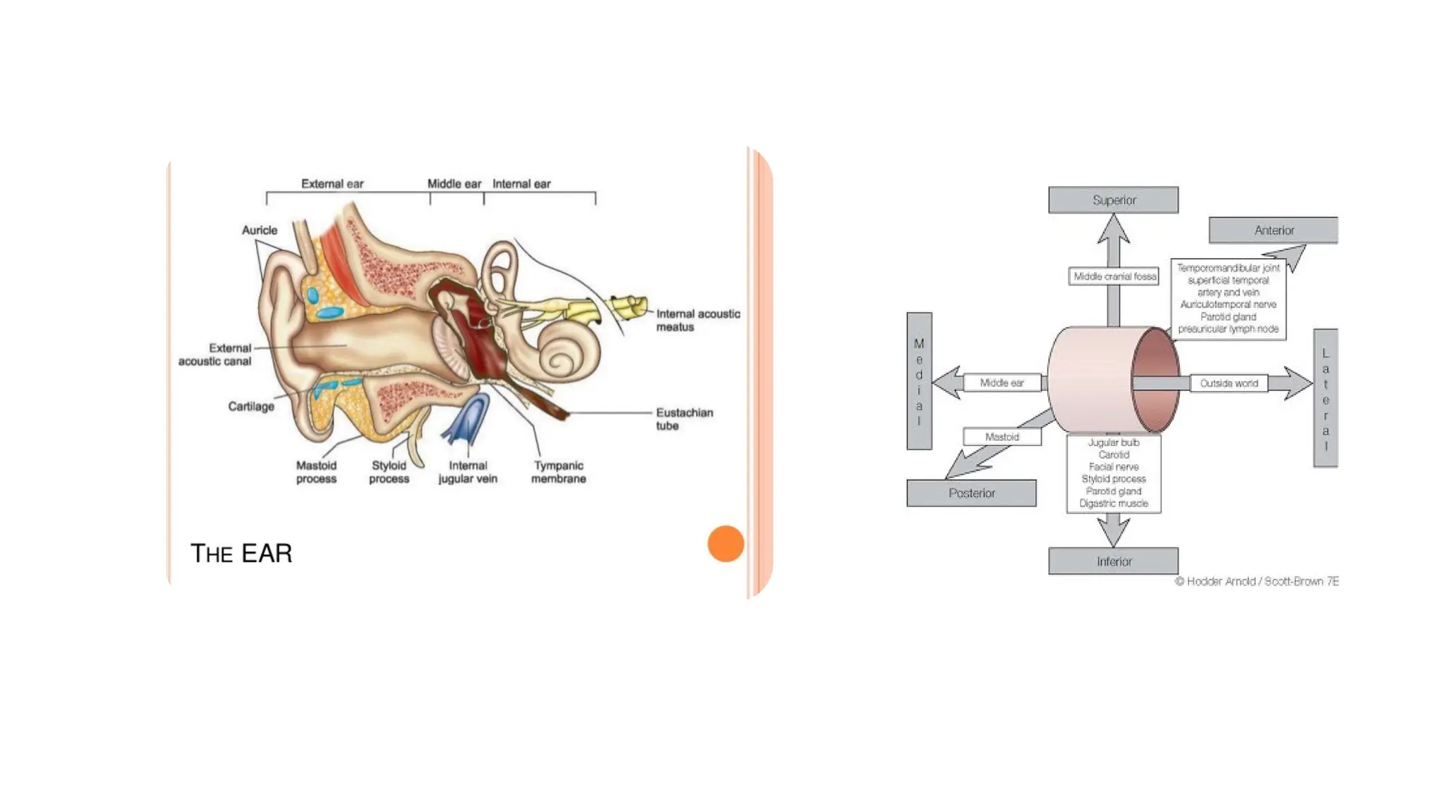 malignant otitis externa diseases of external ear | PPTX