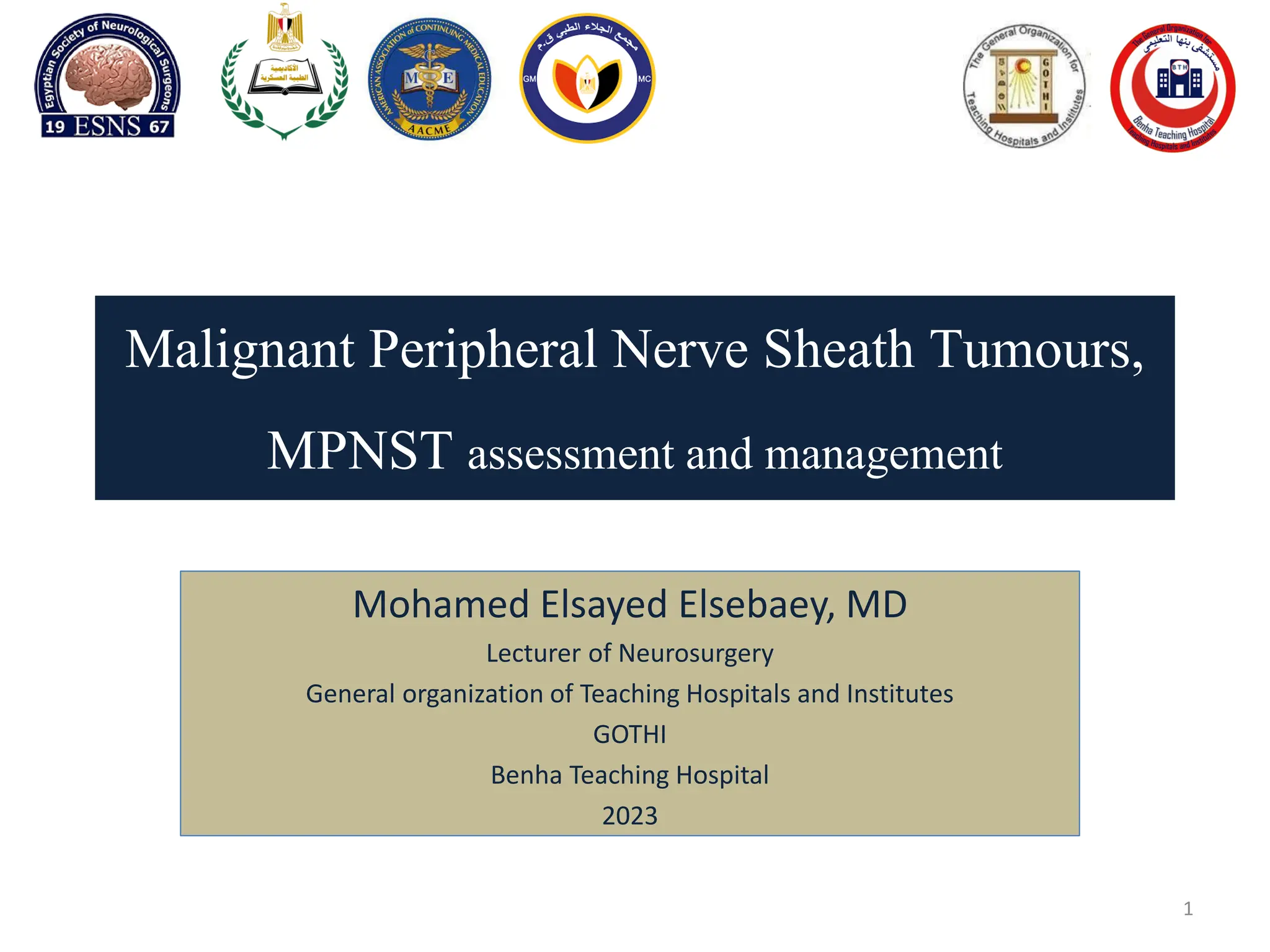 Malignant peripheral nerve sheath tumours M E Elsebaey.pdf