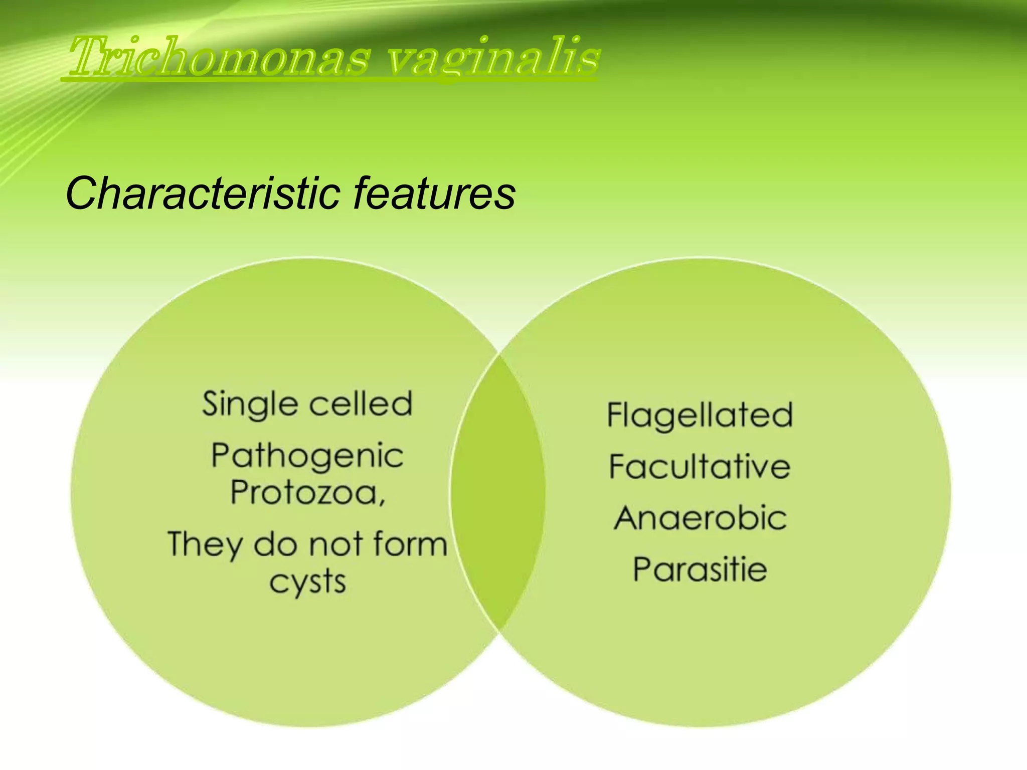 Trichomoniasis | PPTX
