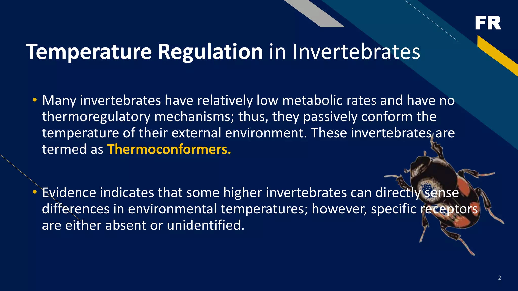 Temperature Regulation in Invertebrates.pptx