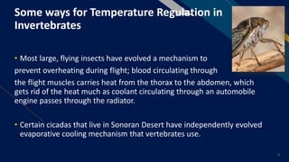 Temperature Regulation in Invertebrates.pptx