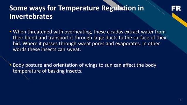 Temperature Regulation in Invertebrates.pptx | Environment | Science