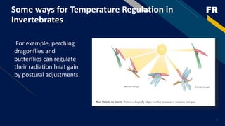 Temperature Regulation in Invertebrates.pptx