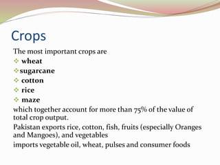 pakistan agriculture sector | PPTX