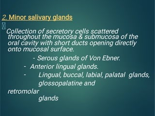 Salivary glands | PDF