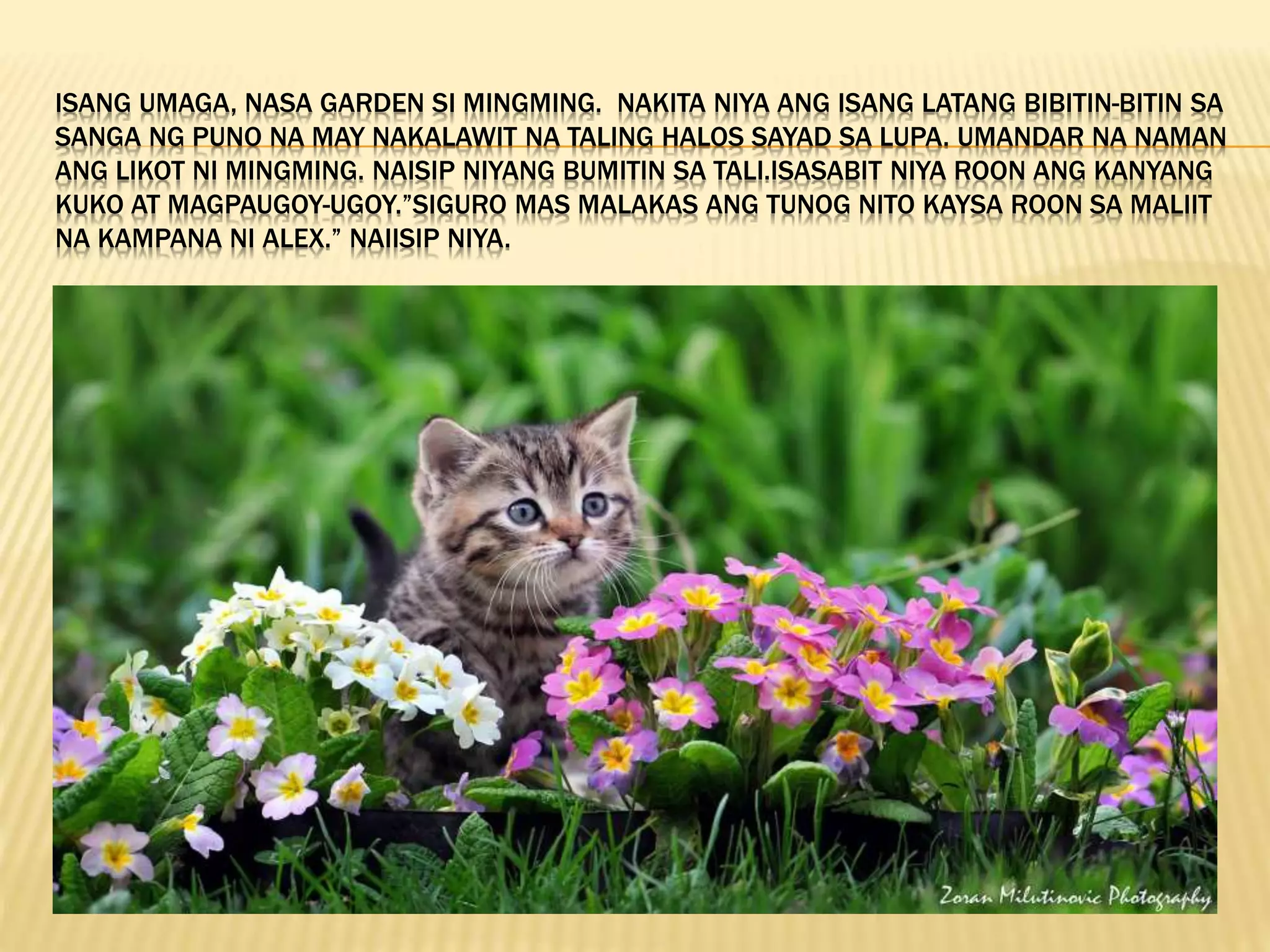 MALIKOT SI MINGMING.pptx