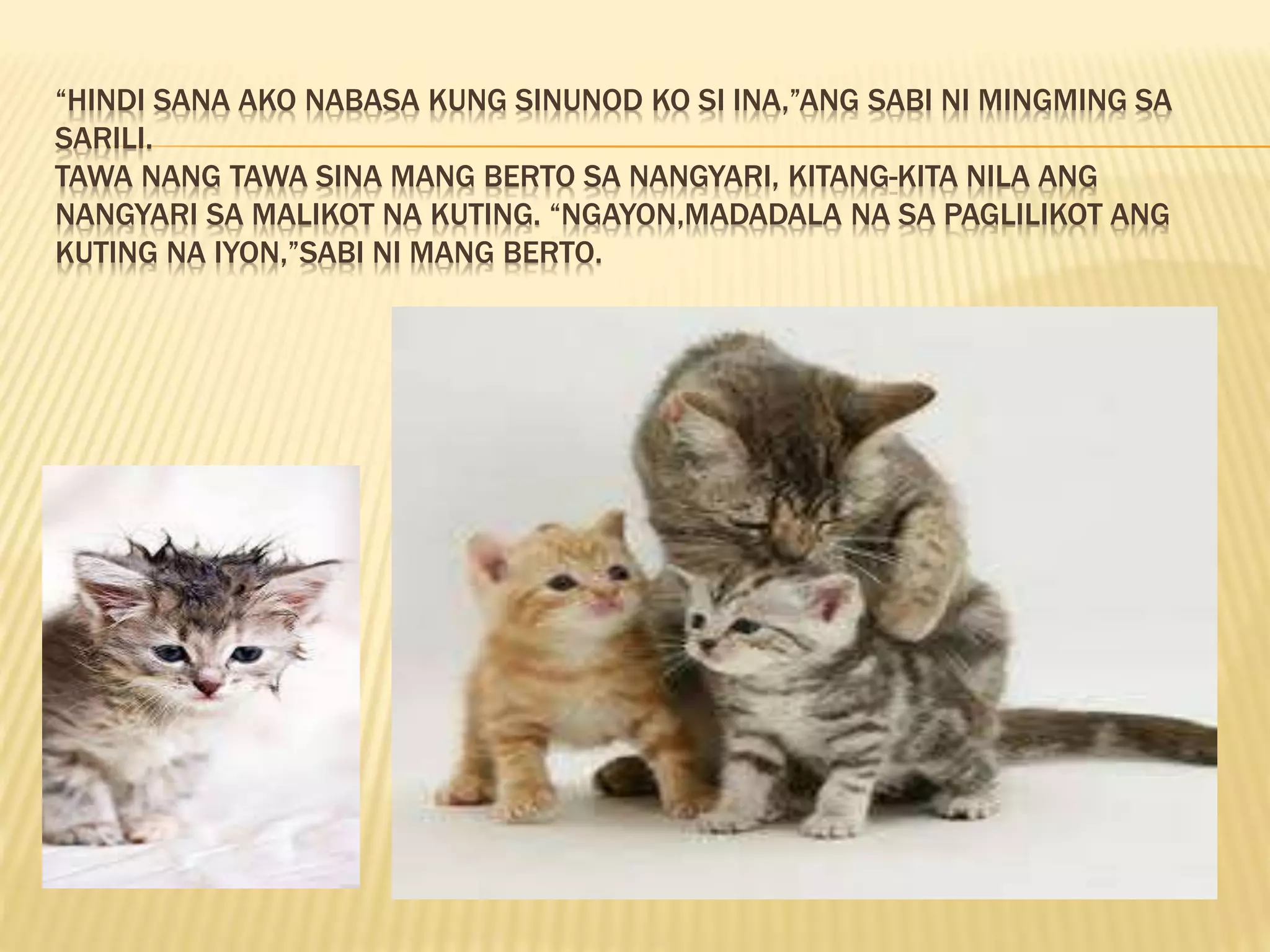 MALIKOT SI MINGMING.pptx