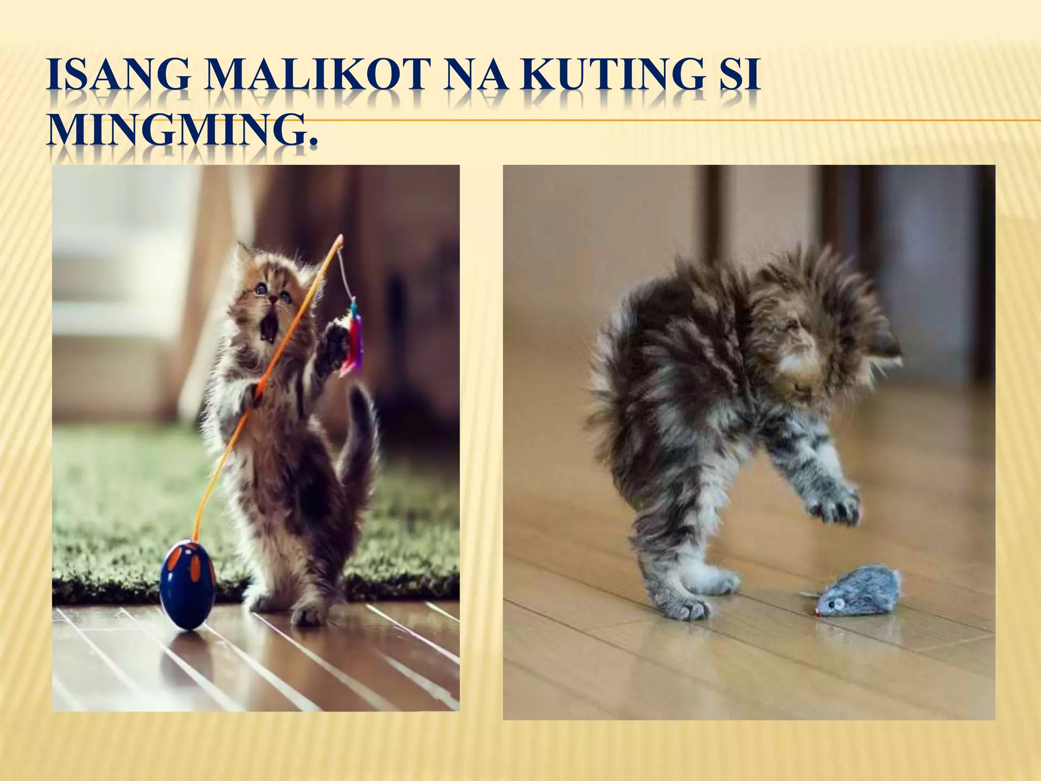 MALIKOT SI MINGMING.pptx