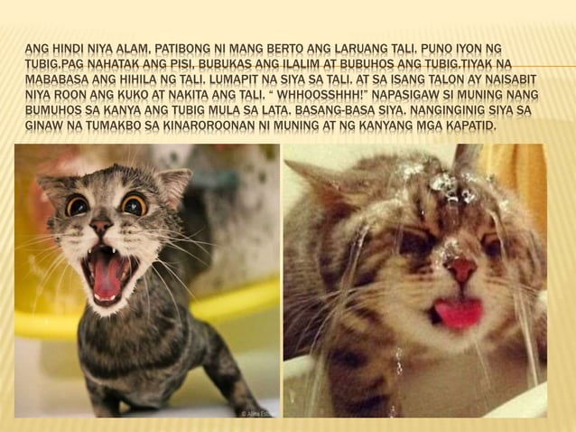 MALIKOT SI MINGMING.pptx