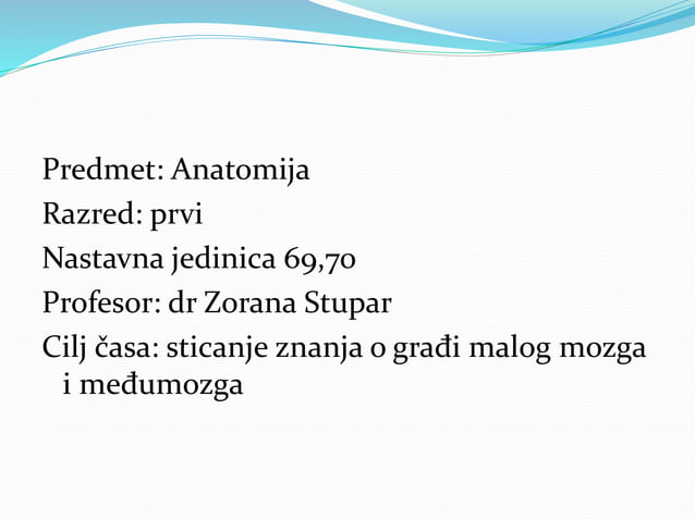 Mali mozak i medjumozak | PPT