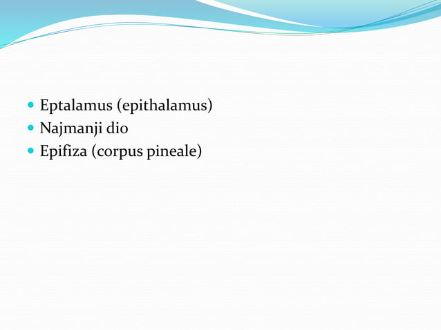 Mali mozak i medjumozak | PPT