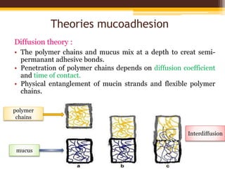 Mucoadhesive drug delivery system Mali vv ppt | PPTX