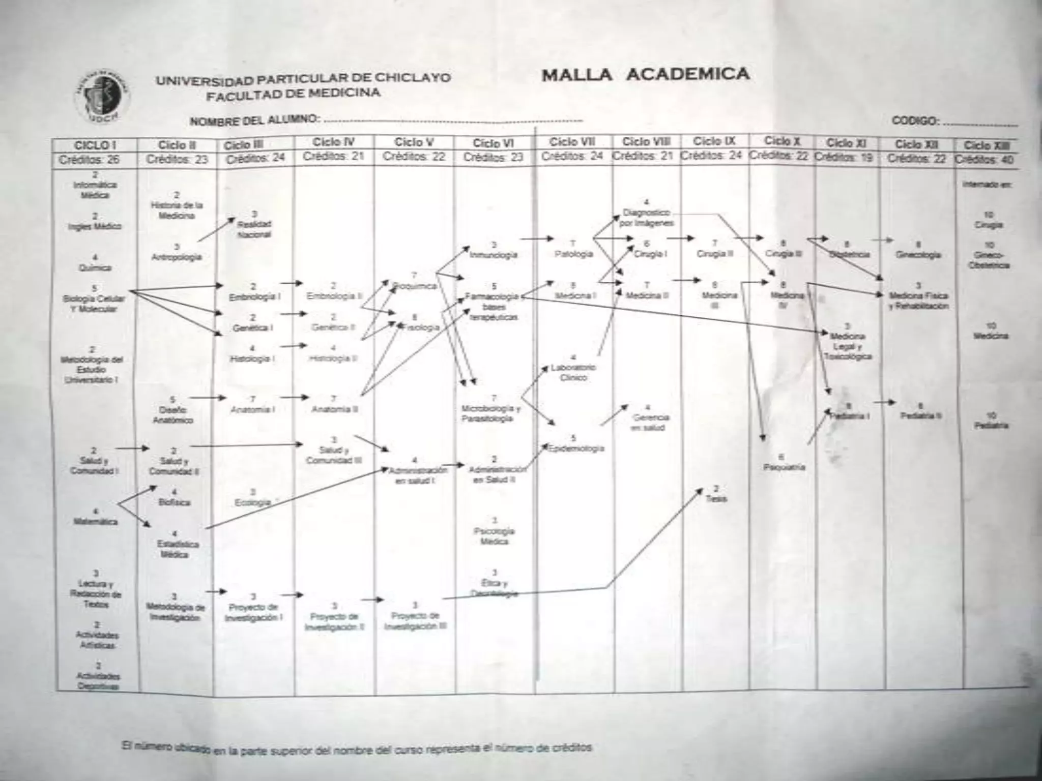 Malla Curricular | PPTX