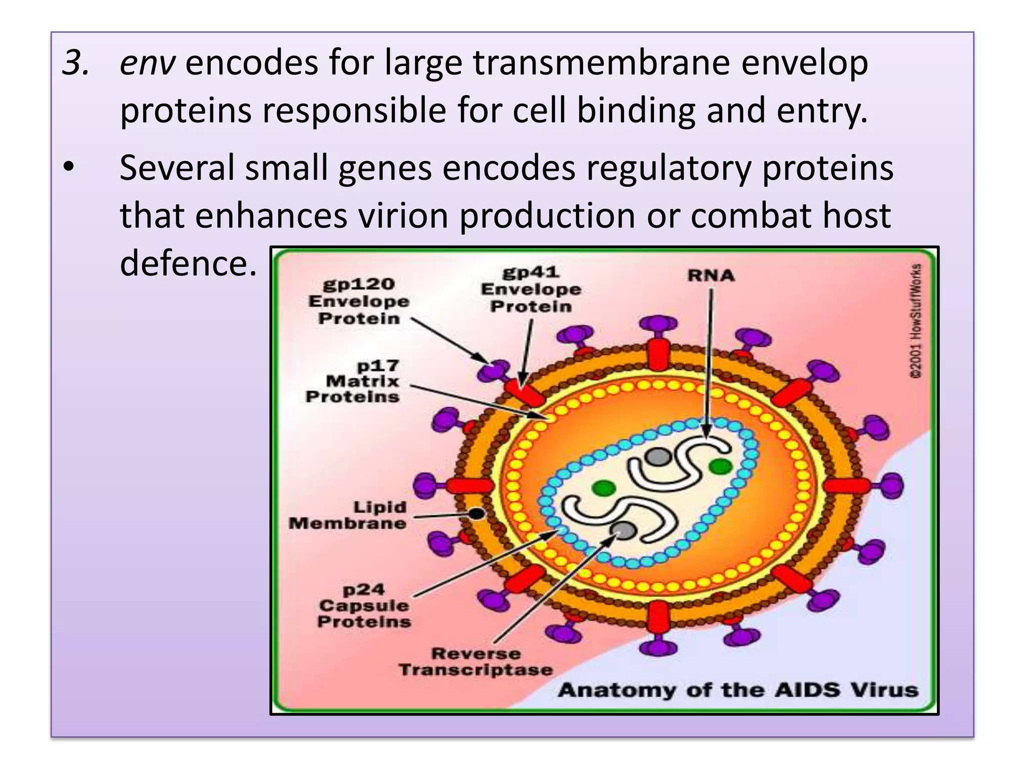 AIDS | PPT