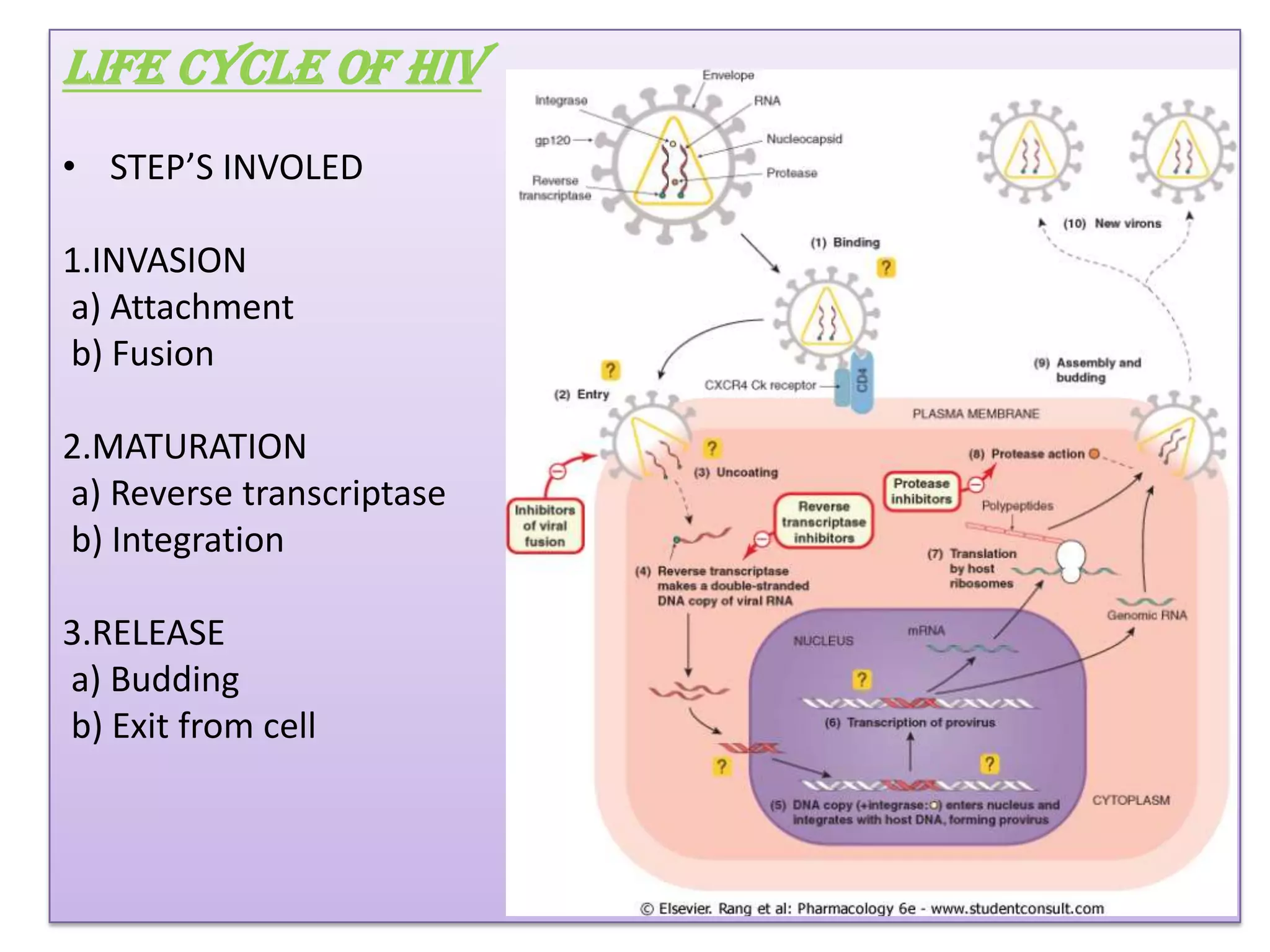 AIDS | PPT