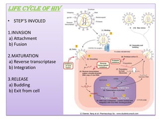 AIDS | PPT