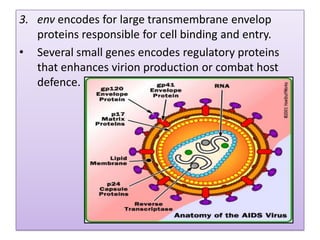 Hiv Disease Structure