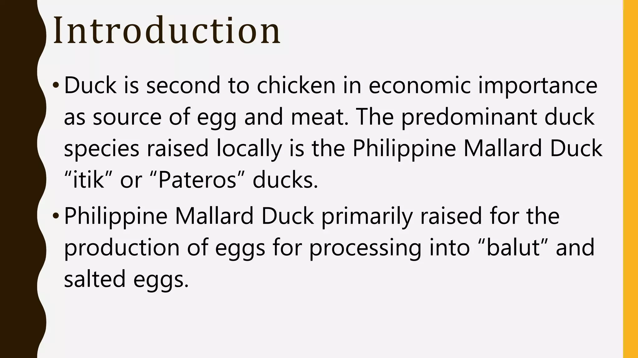 Mallard Duck – Rice integration.pptx