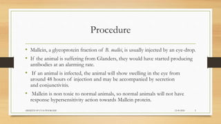 Mallein test | PPTX