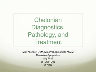 Chelonian diagnostics, pathology and treatment | PPTX