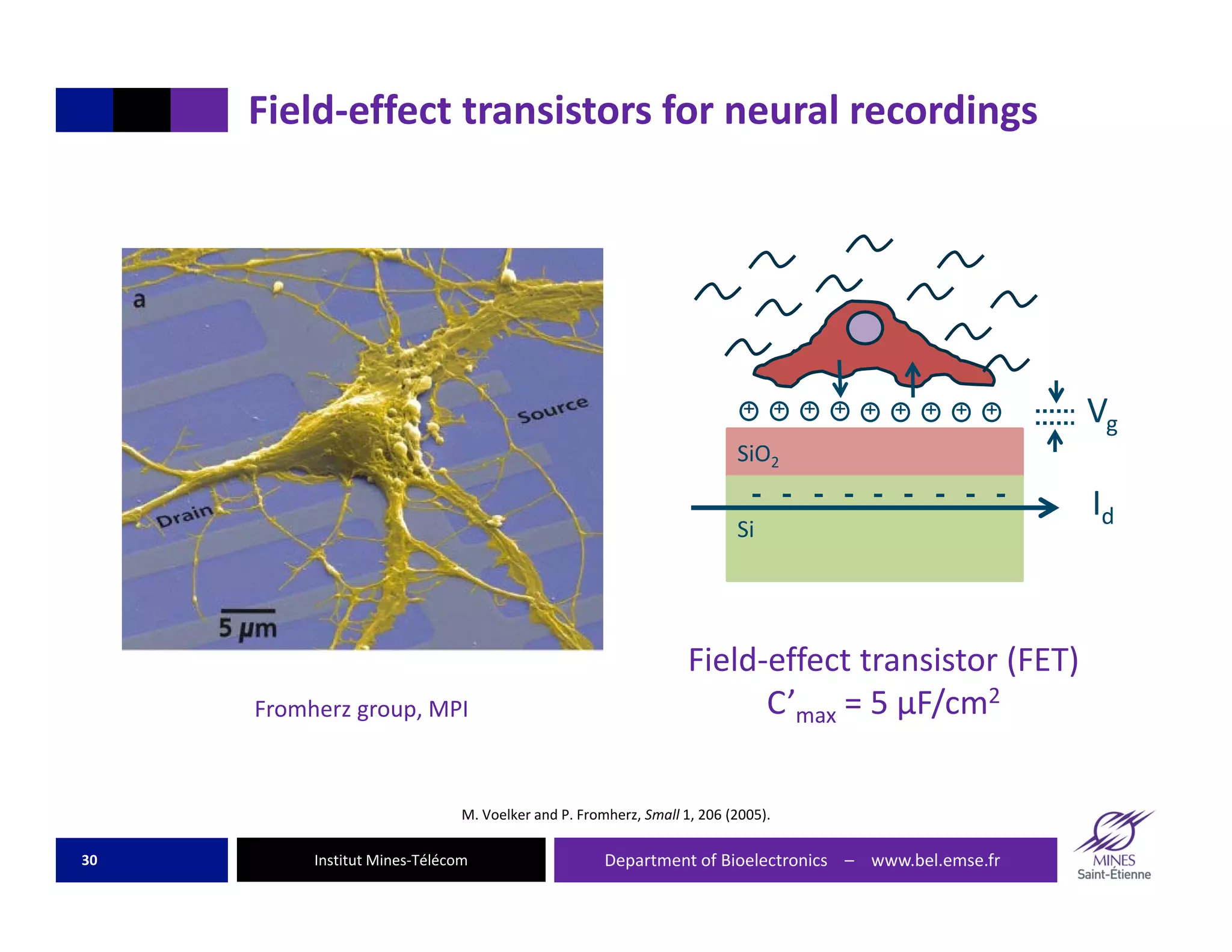 Interfacing with the brain using organic electronics. | PDF