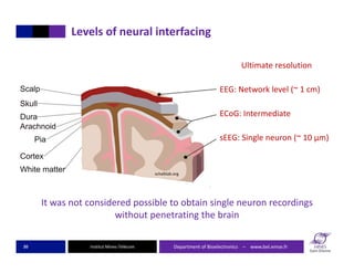 Interfacing with the brain using organic electronics. | PPT