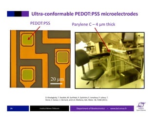 Interfacing with the brain using organic electronics. | PPT