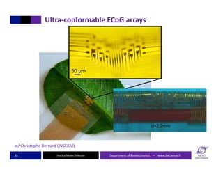 Interfacing with the brain using organic electronics. | PPT