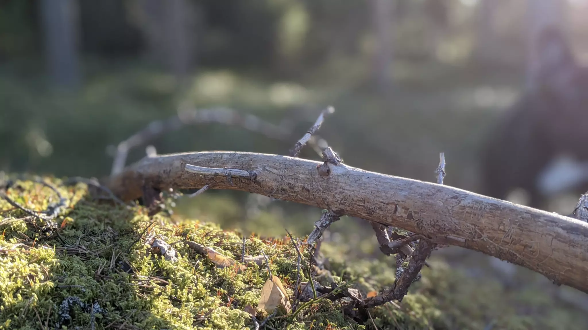 Malli: inside data-driven schemas | PPT